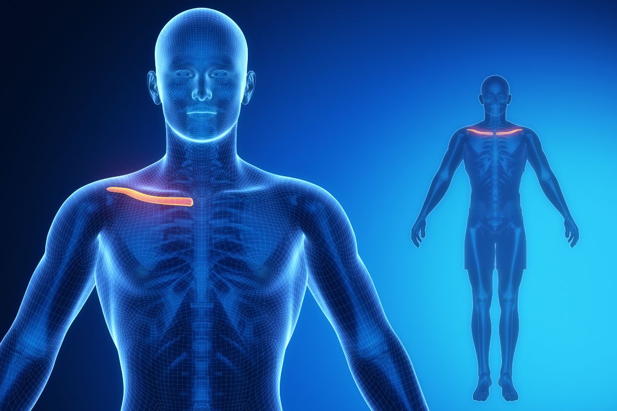Fraturas da Clavícula - Curi Ortopedia | Especialista em ombro e cotovelo